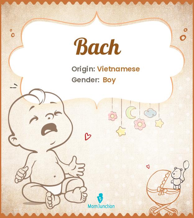 Origin, Meaning & Other Facts About Baby Name Bach