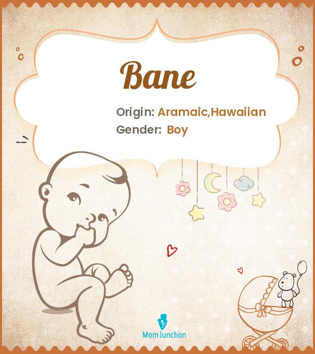 Origin, Meaning & Other Facts About Baby Name Bane
