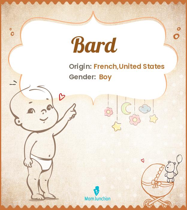 Origin, Meaning & Other Facts About Baby Name Bard