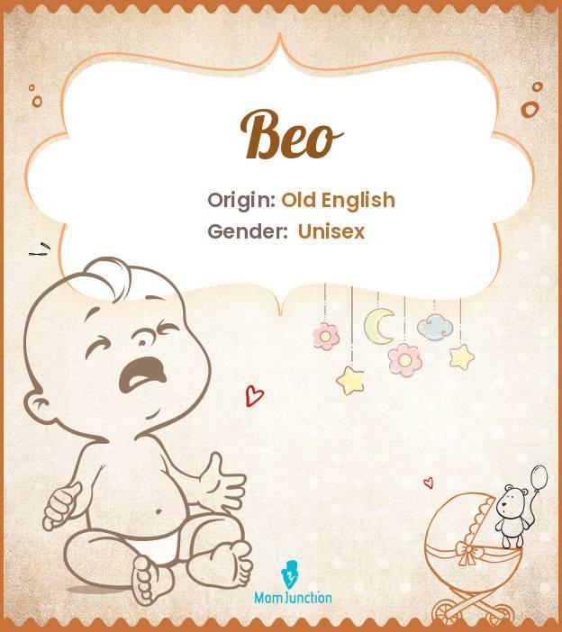 Origin Meaning Other Facts About Baby Name Beo MomJunction