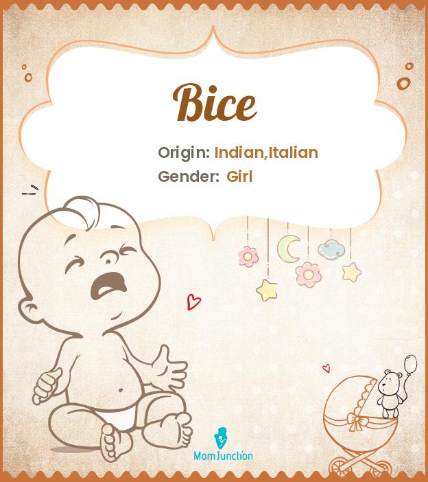 Origin, Meaning & Other Facts About Baby Name Bice