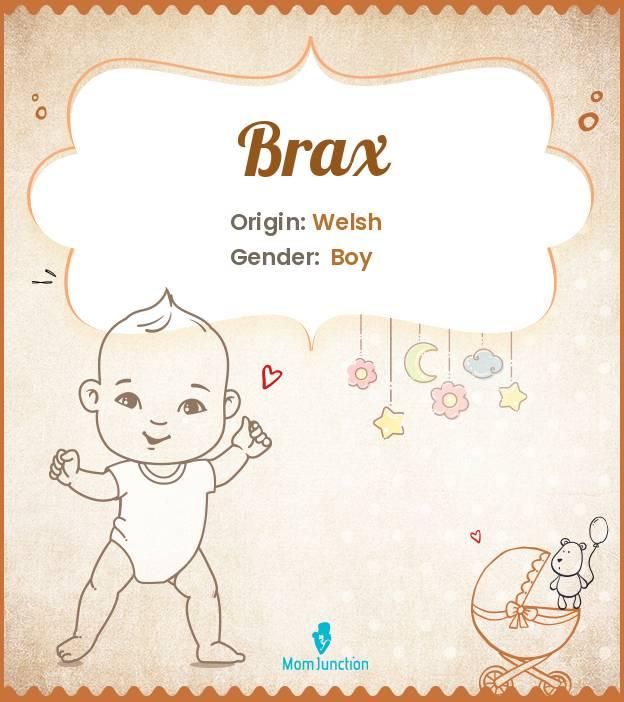 Origin, Meaning & Other Facts About Baby Name Brax