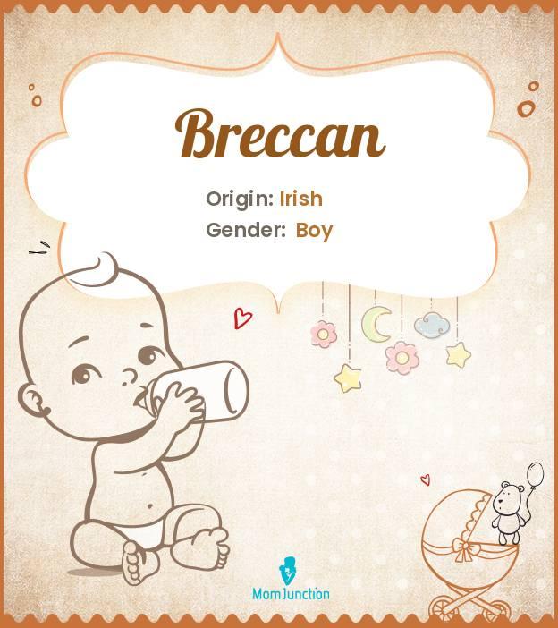Origin, Meaning & Other Facts About Baby Name Breccan