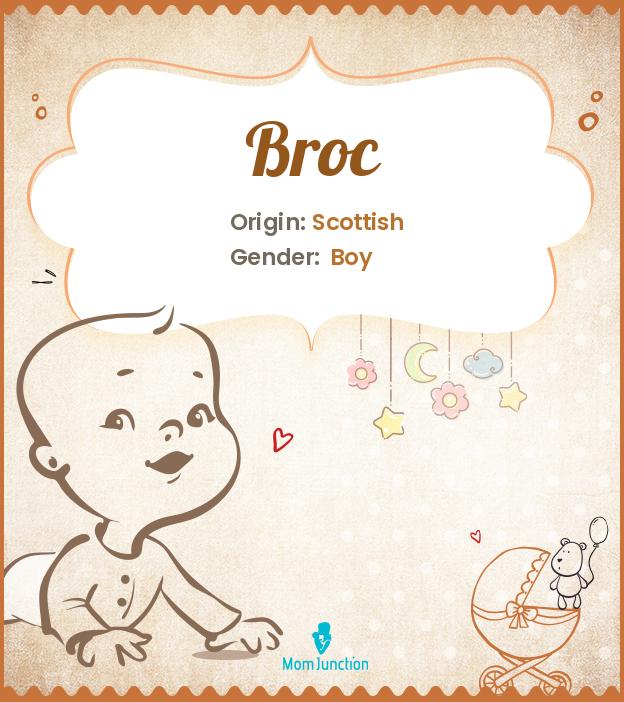 Origin, Meaning & Other Facts About Baby Name Broc