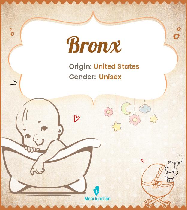 Origin, Meaning & Other Facts About Baby Name Bronx