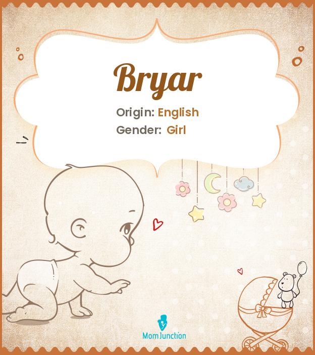 Origin, Meaning & Other Facts About Baby Name Bryar