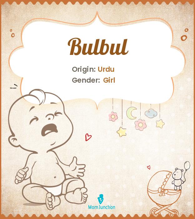 Origin, Meaning & Other Facts About Baby Name Bulbul