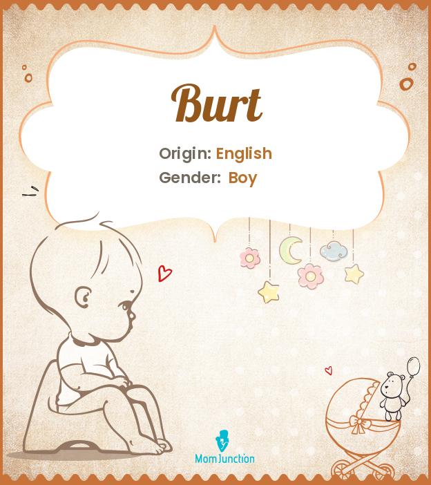 Origin, Meaning & Other Facts About Baby Name Burt
