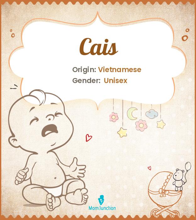 Cais: Meaning, Origin, Popularity
