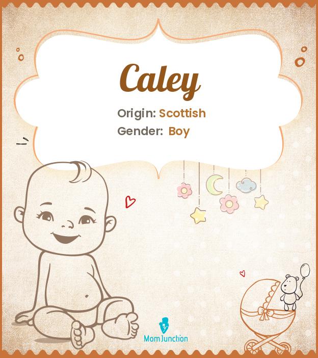 Lacey Name, Meaning, Origin, History, And Popularity