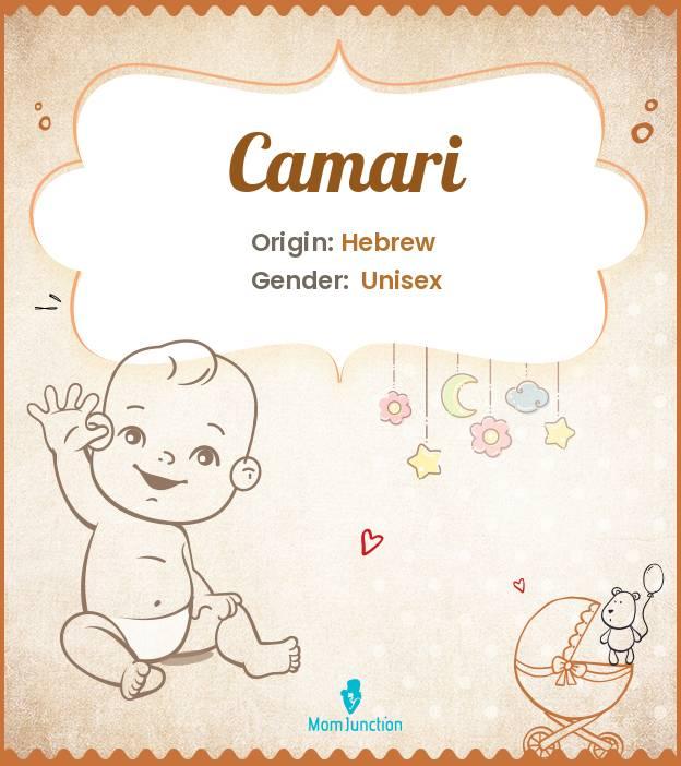Camari: Meaning, Origin, Popularity