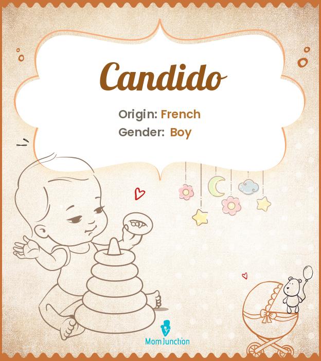 Candido: Meaning, Origin, Popularity