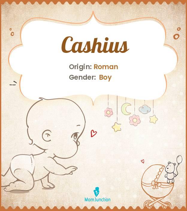 Cashius: Meaning, Origin, Popularity