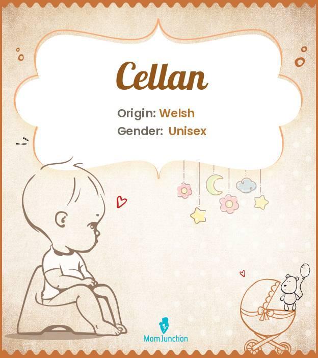 Cellan: Meaning, Origin, Popularity