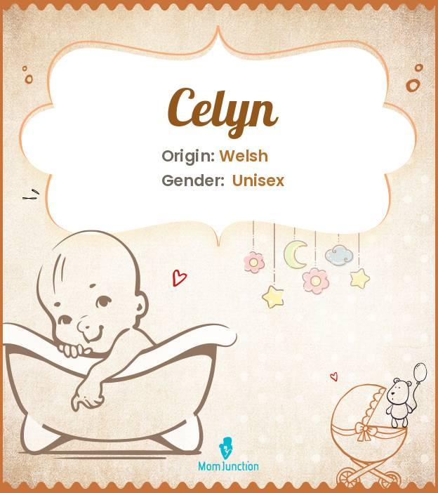 Celyn: Meaning, Origin, Popularity