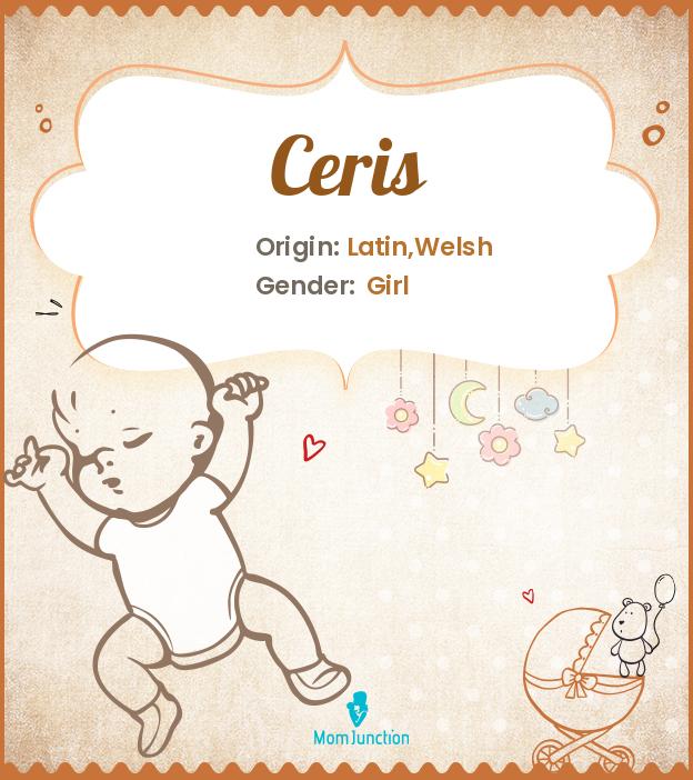 481 Timeless Welsh Boy Names For Your Son