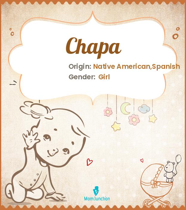 Chapa: Meaning, Origin, Popularity