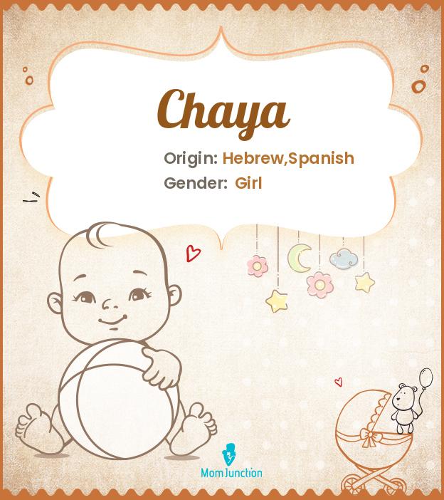 Chaya Name Meaning, Origin, History, And Popularity