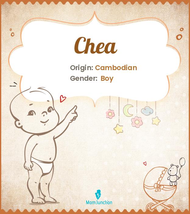 Chea: Meaning, Origin, Popularity