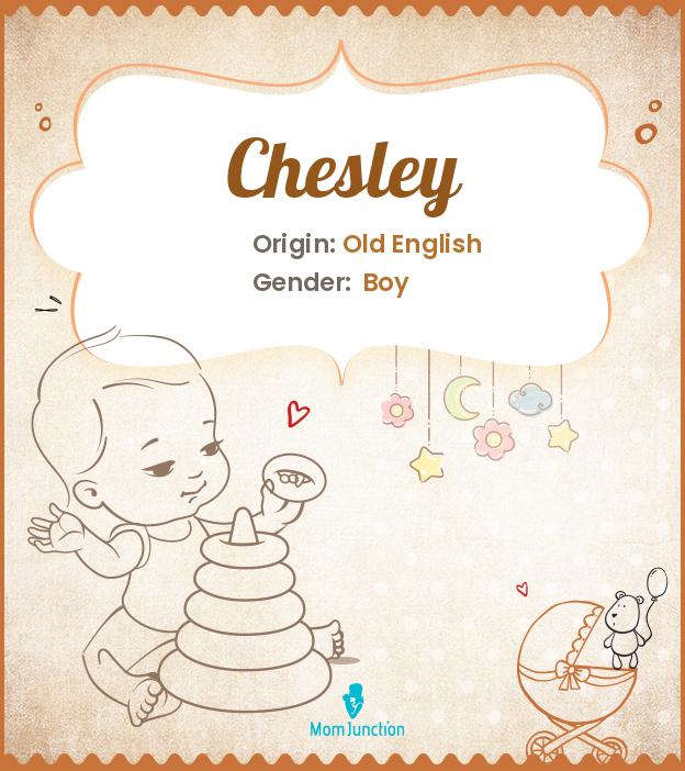 Chesley: Meaning, Origin, Popularity