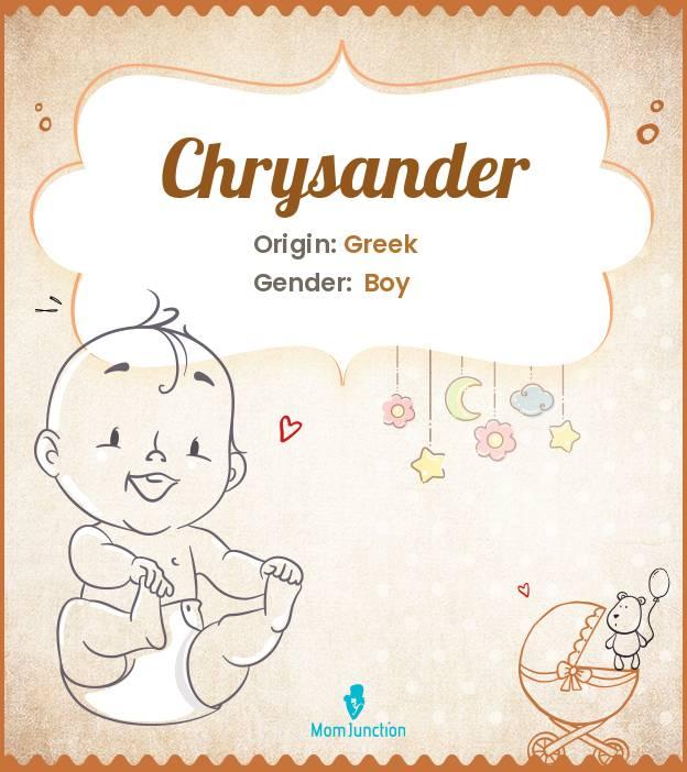 Chrysander: Meaning, Origin, Popularity