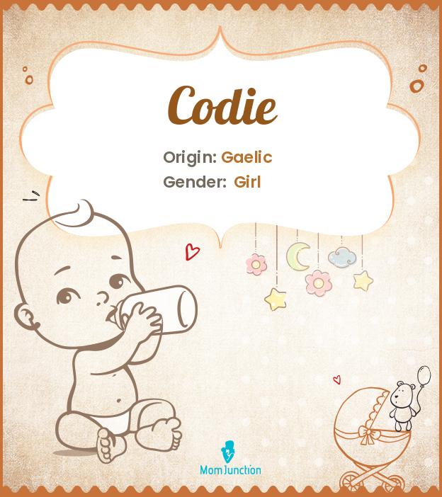 Codie: Meaning, Origin, Popularity