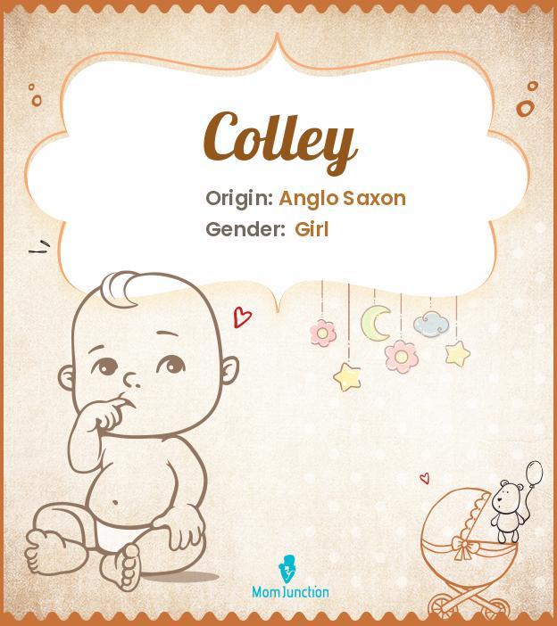 Colley: Meaning, Origin, Popularity
