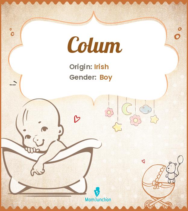 Colum Name Meaning, Origin, History, And Popularity