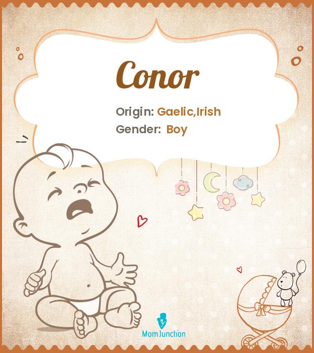 Conor Name Meaning, Origin, History, And Popularity