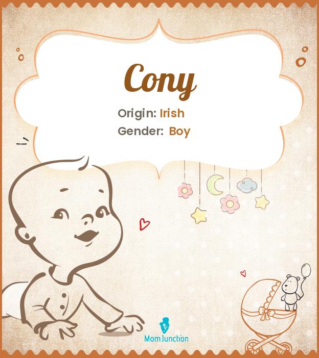 Cony: Meaning, Origin, Popularity