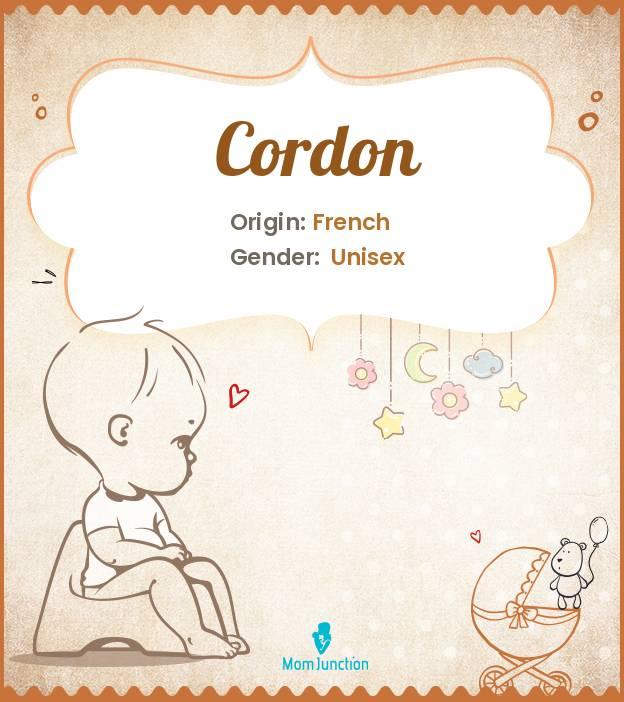 Cordon: Meaning, Origin, Popularity