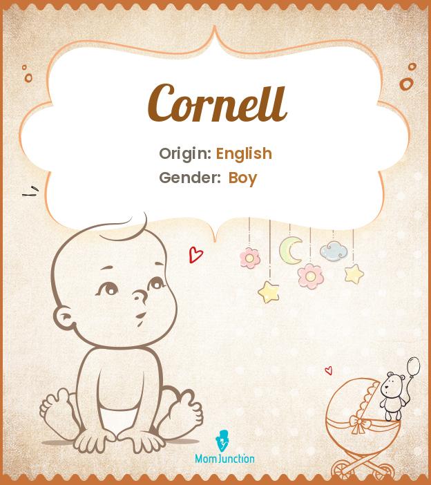 Cornell: Meaning, Origin, Popularity