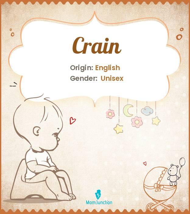 Crain: Meaning, Origin, Popularity | MomJunction
