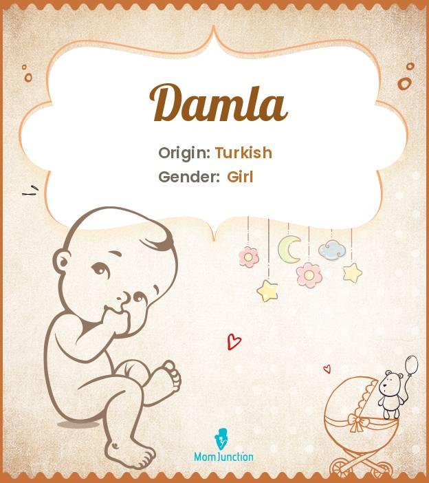Explore Damla: Meaning, Origin & Popularity