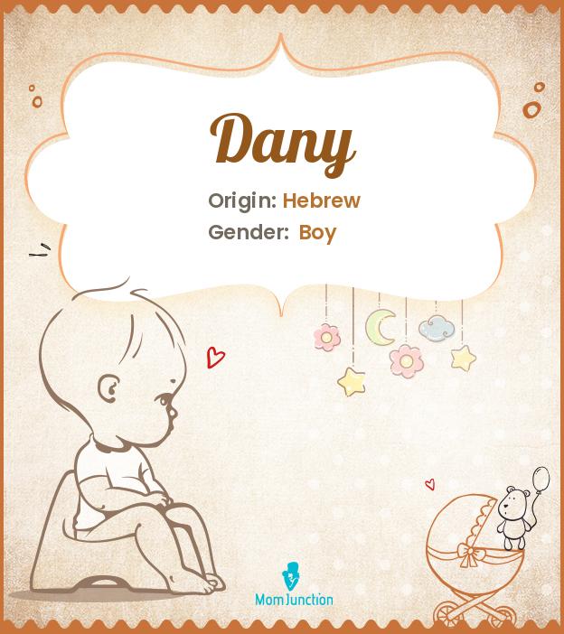 Dany Name Meaning, Origin, History, And Popularity