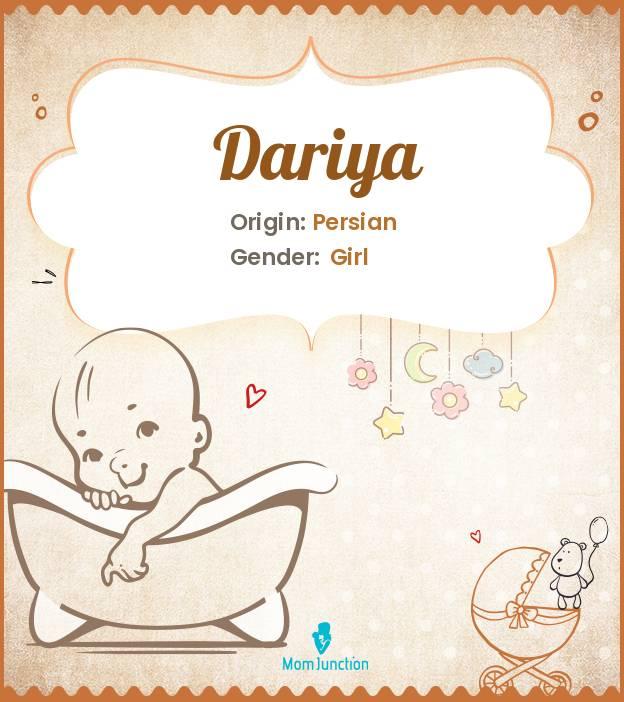 Explore Dariya: Meaning, Origin & Popularity