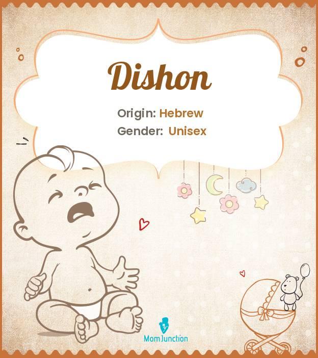 Explore Dishon: Meaning, Origin & Popularity