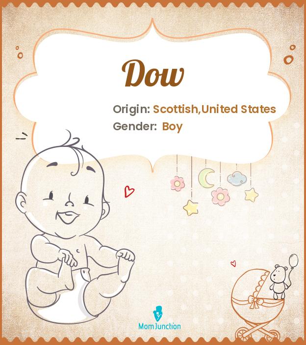 Explore Dow: Meaning, Origin & Popularity