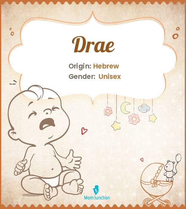 Explore Drae: Meaning, Origin & Popularity
