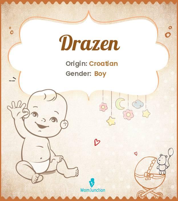 Explore Drazen: Meaning, Origin & Popularity