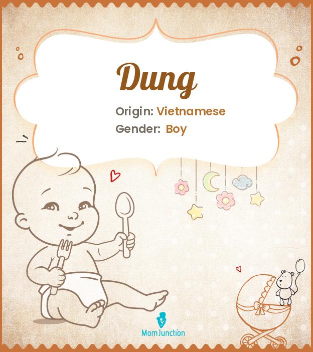 Explore Dung: Meaning, Origin & Popularity