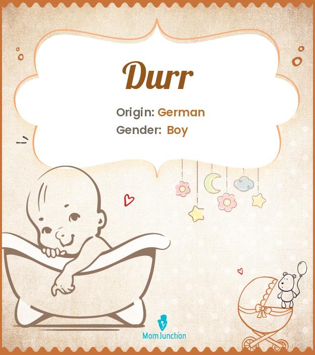 Explore Durr: Meaning, Origin & Popularity