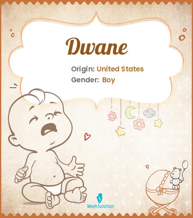 Explore Dwane: Meaning, Origin & Popularity | MomJunction