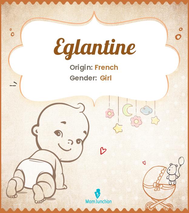Explore Eglantine: Meaning, Origin & Popularity