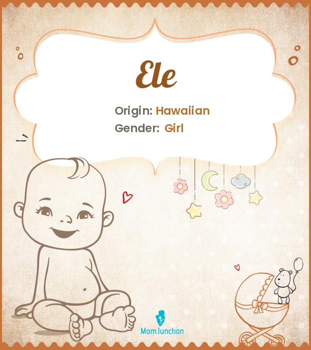 Explore Ele: Meaning, Origin & Popularity