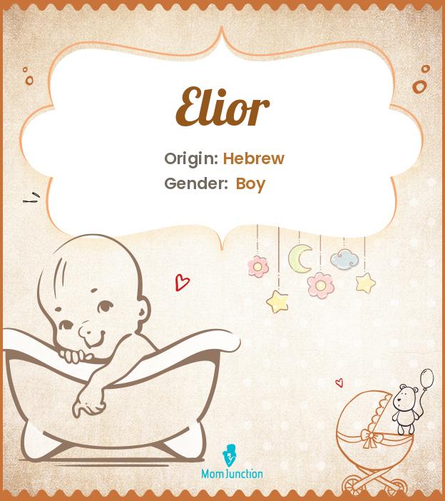 Explore Elior: Meaning, Origin & Popularity