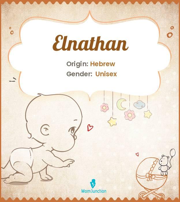 Explore Elnathan: Meaning, Origin & Popularity