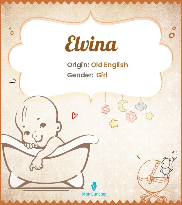 Explore Elvina: Meaning, Origin & Popularity