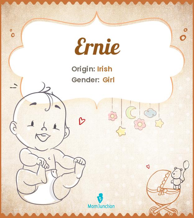 Explore Ernie: Meaning, Origin & Popularity