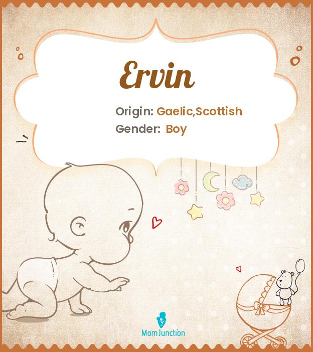 Explore Ervin: Meaning, Origin & Popularity